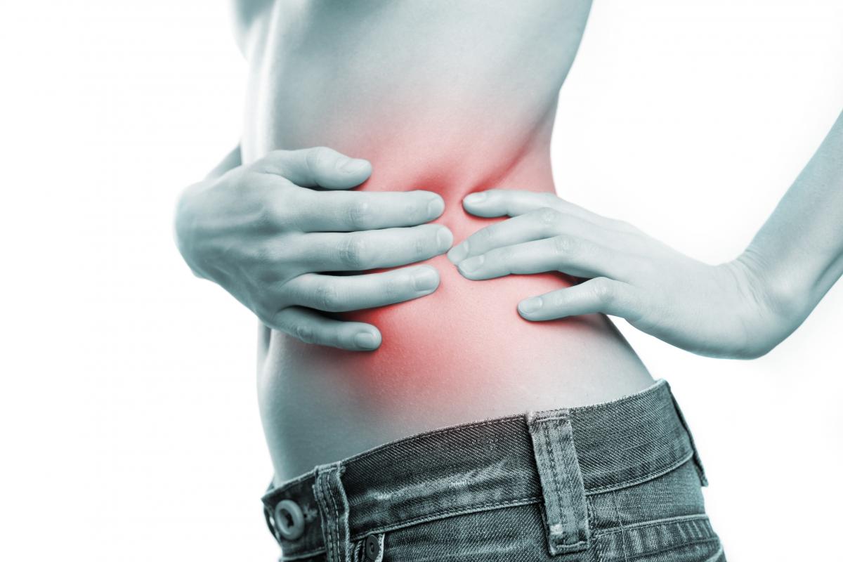 Funções dos rins no corpo humano: saiba quais são e como manter sua ...